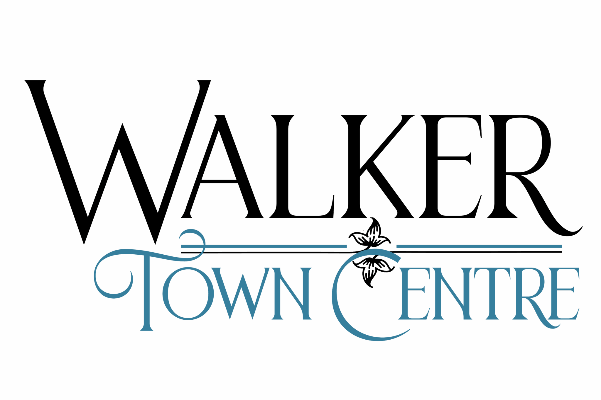 Walker Town Centre | Singletary Construction